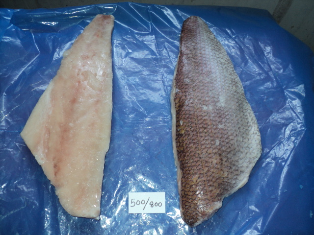 Butterworth Seafoods: WHITE SNAPPER WHOLE & FILLET - INDIAN ORIGIN