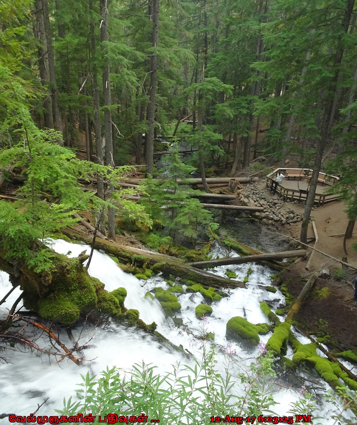 Clearwater Falls Oregon - Exploring My Life