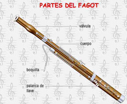 PRIMARIA EN MOVIMIENTO: EL FAGOT