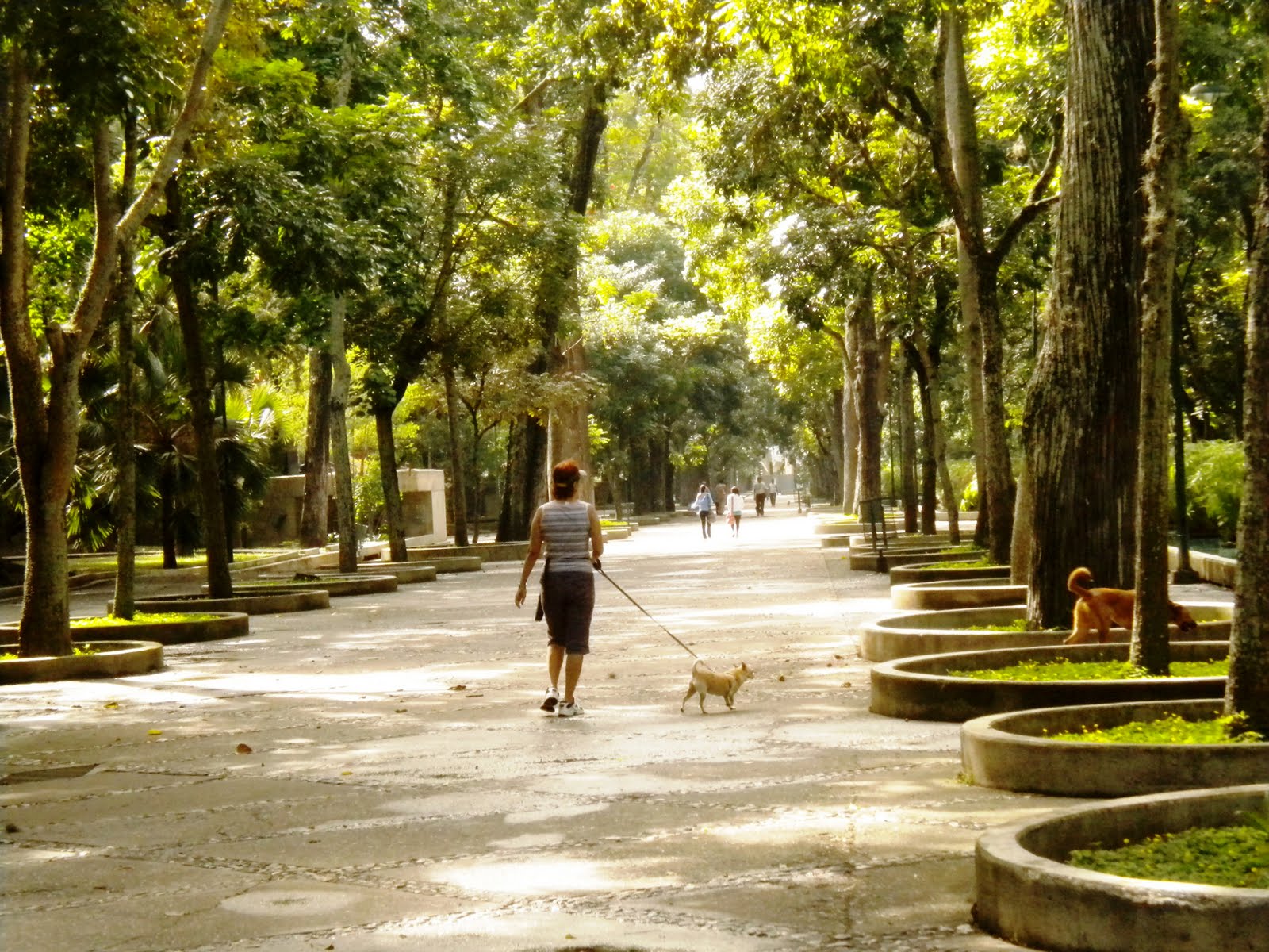 Parque Los Caobos: Un parque ideal para pasear y disfrutar