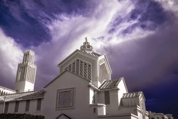 THE VIEW FROM FEZ: Moroccan News Briefs #111