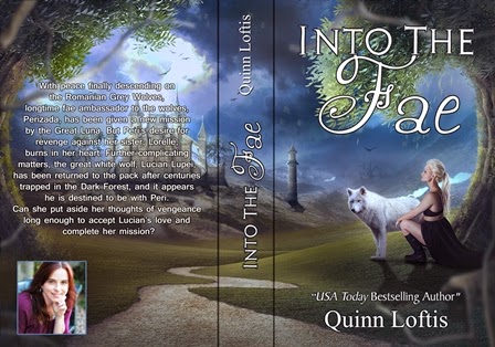 Book Butterfly in Dreamland: Into the Fae (The Gypsy Healer Series ...