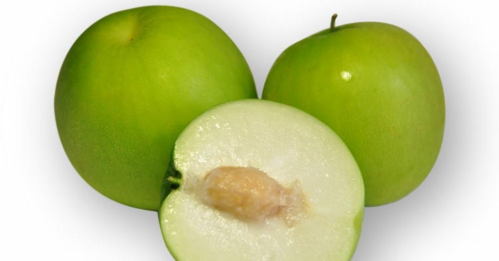 Cara Budidaya Apel India | Pusat Informasi Agrobis