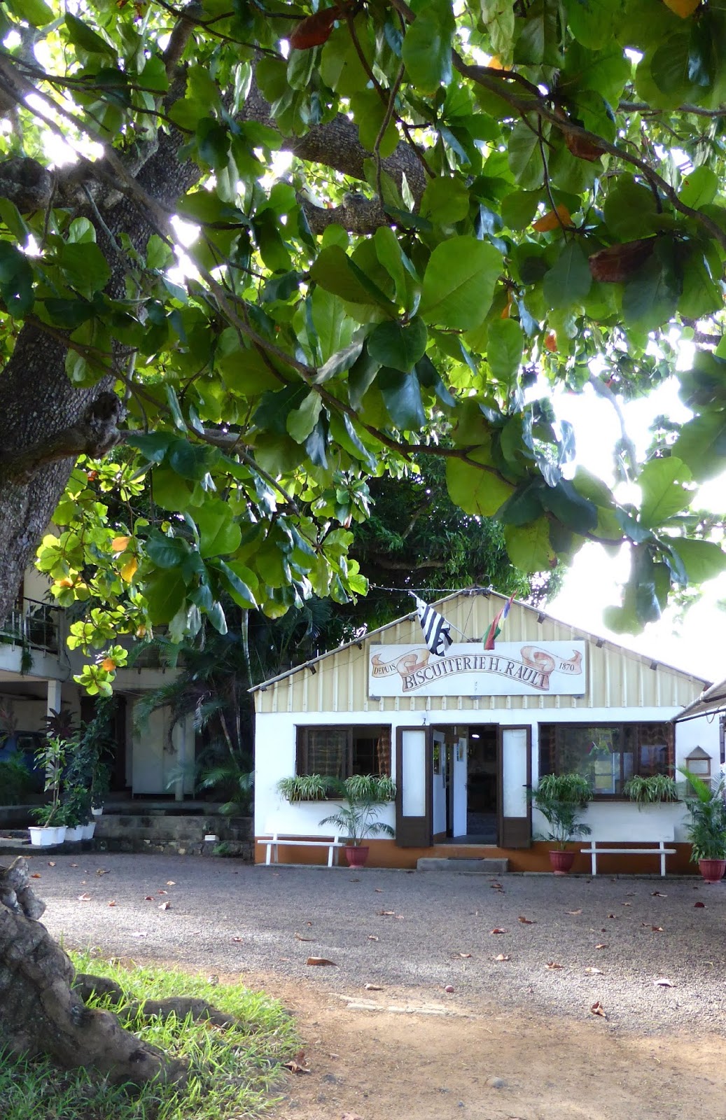 My Sweet Mauritius: RAULT, MON GATEAU MANIOC