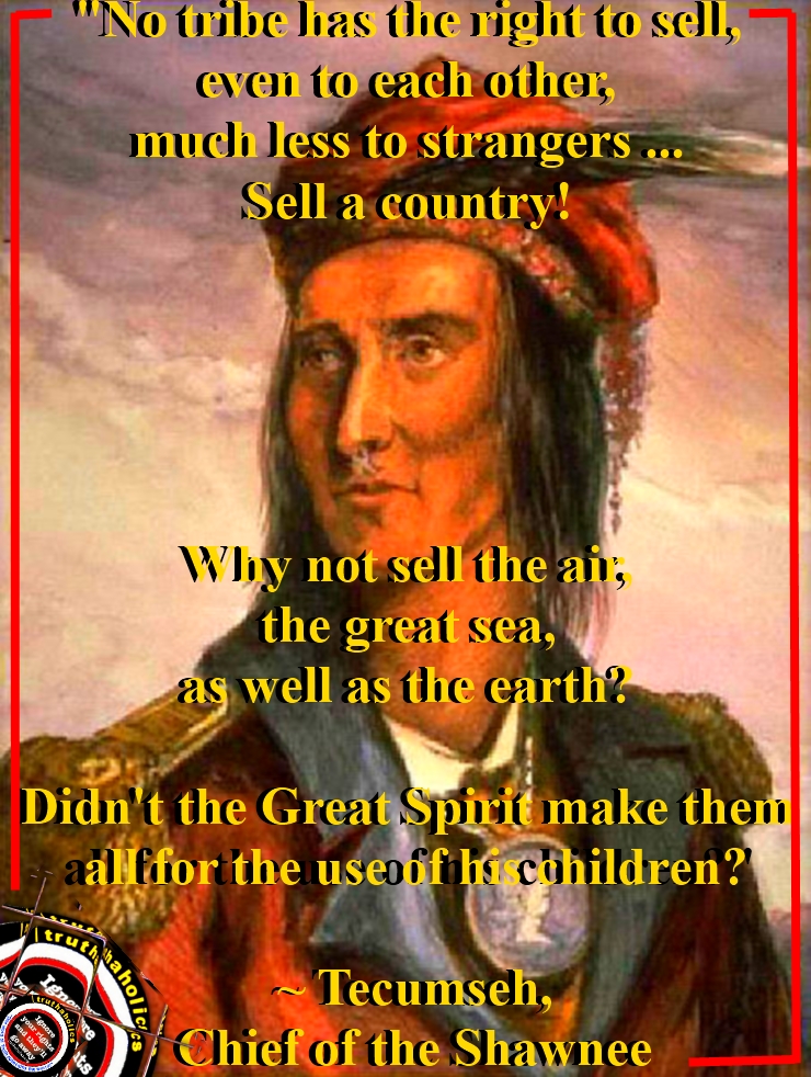 the Art of 12: COMMANDERS IN CHIEFS: TECUMSEH, IROQUIOS, SITTING BULL ...