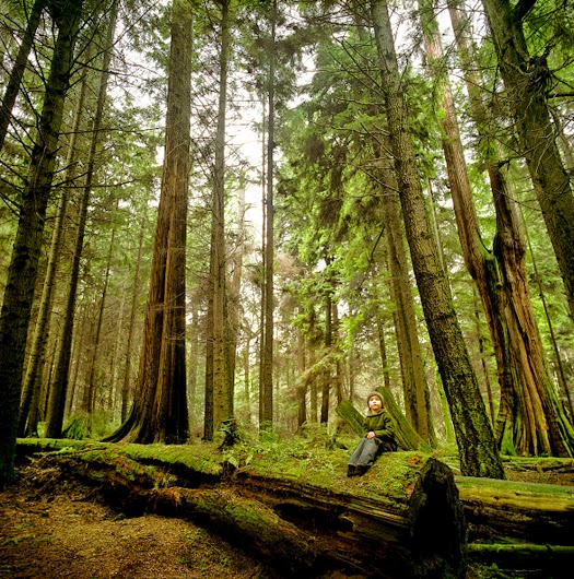 Sean Telford Photography: Independent Learning and Study