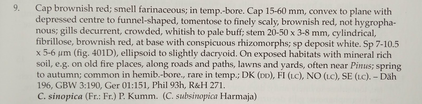 Misidentifying Fungi: Graffham Common Fungus Walk