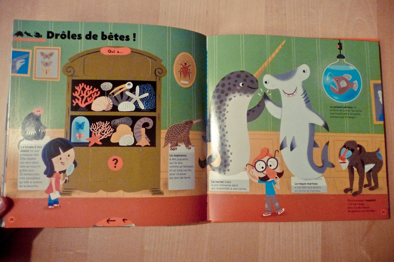 Raconte moi une histoire: Le Kididoc des animaux