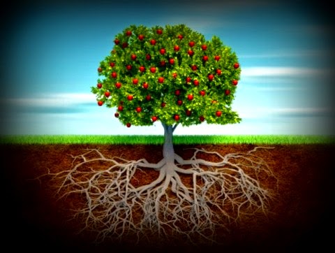 Living Water Bread Of Life: The Fruit Of The Branch Is Directly ...