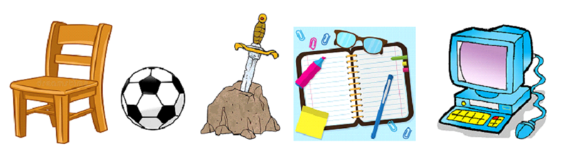 SERES VIVOS Y OBJETOS INERTES