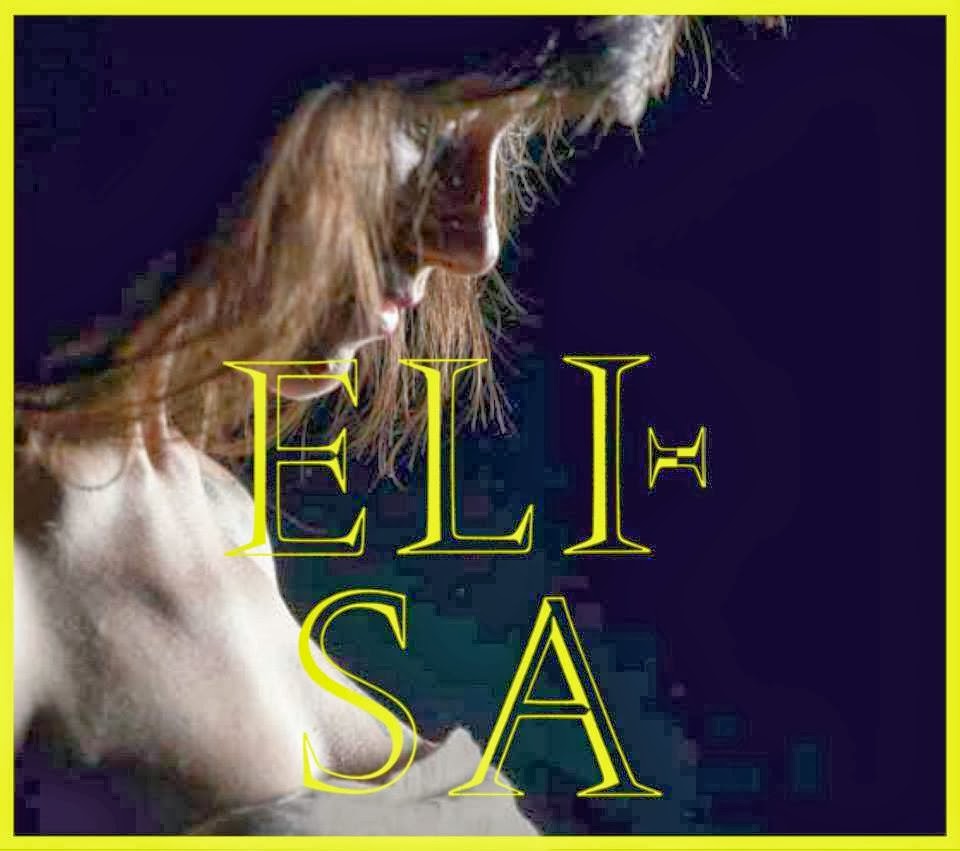 TESTO DOWNLOAD A MODO TUO - ELISA | Testi e traduzioni musica