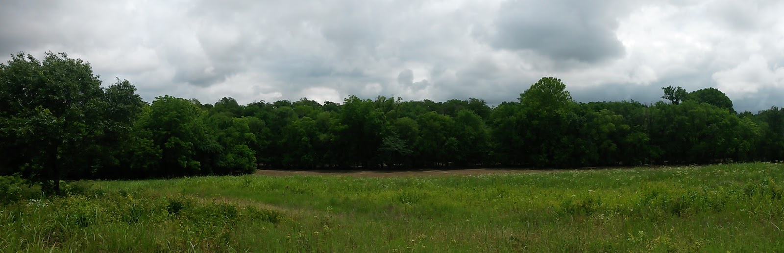 Nature Photography and Facts : Floodplain