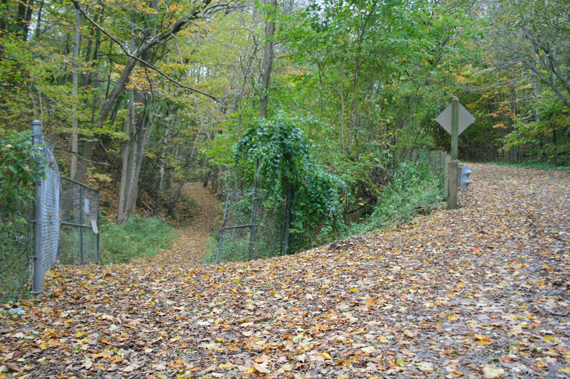Toronto Fun Places: Enjoying the last colours at the Guild Inn Park and ...