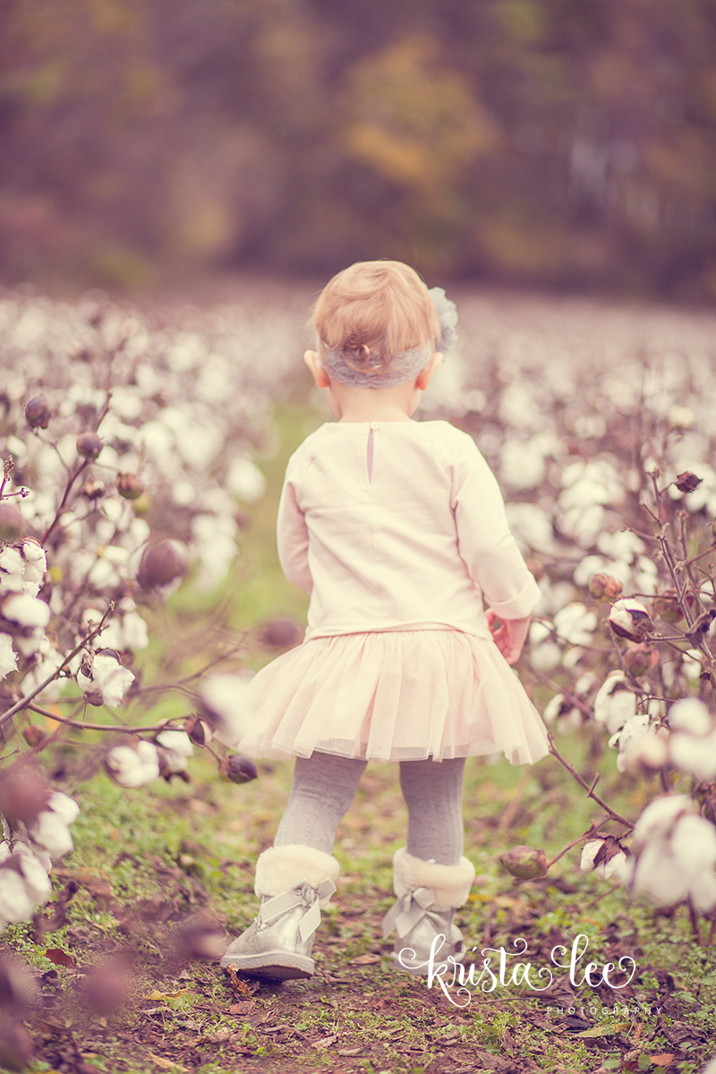 Krista Lee Photography