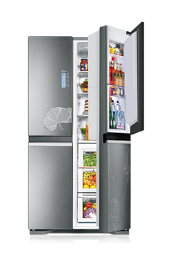 Gadgets and Gizmos: A Celebration Gift, New Wonder door fridge for ...