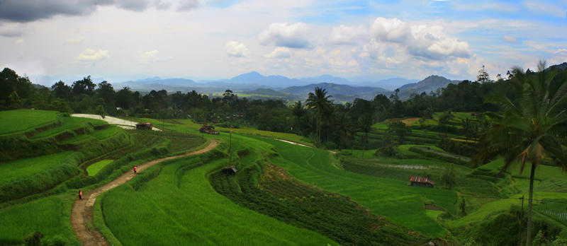 TRAVEL GUIDANCE TO DESA PARIANGAN ~ WONDERFUL INDONESIA