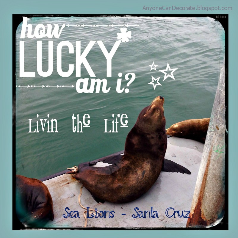 Anyone Can Decorate: Road Trip - Santa Cruz Beach, California