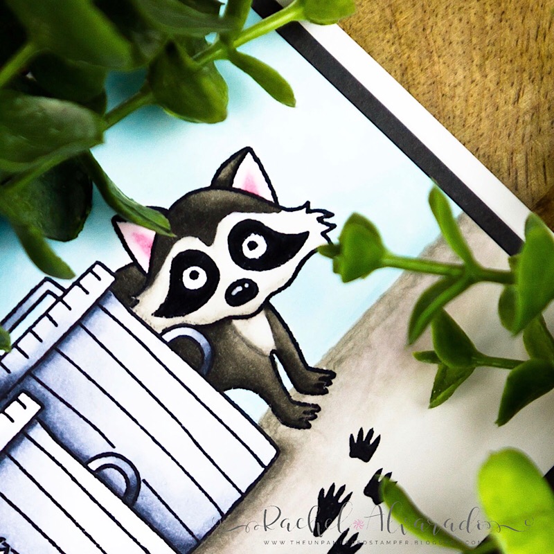 Technique Tuesday’s Robbie Raccoon