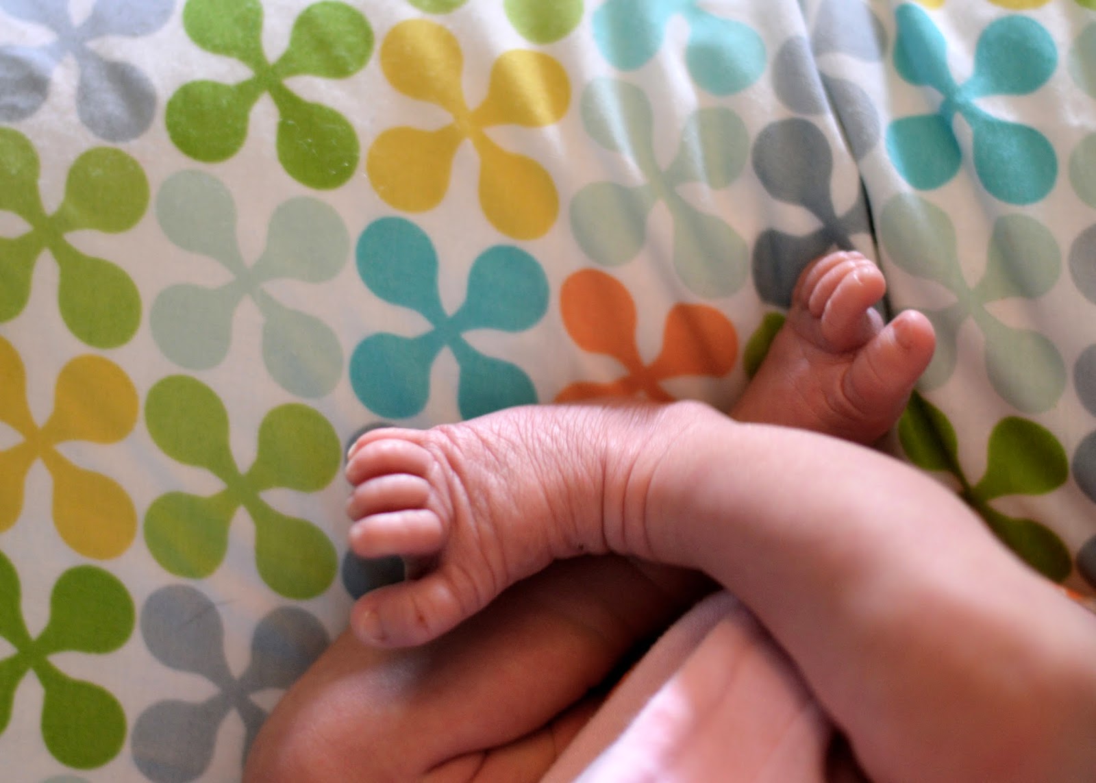 Week One Summary - The Journey of Parenthood...