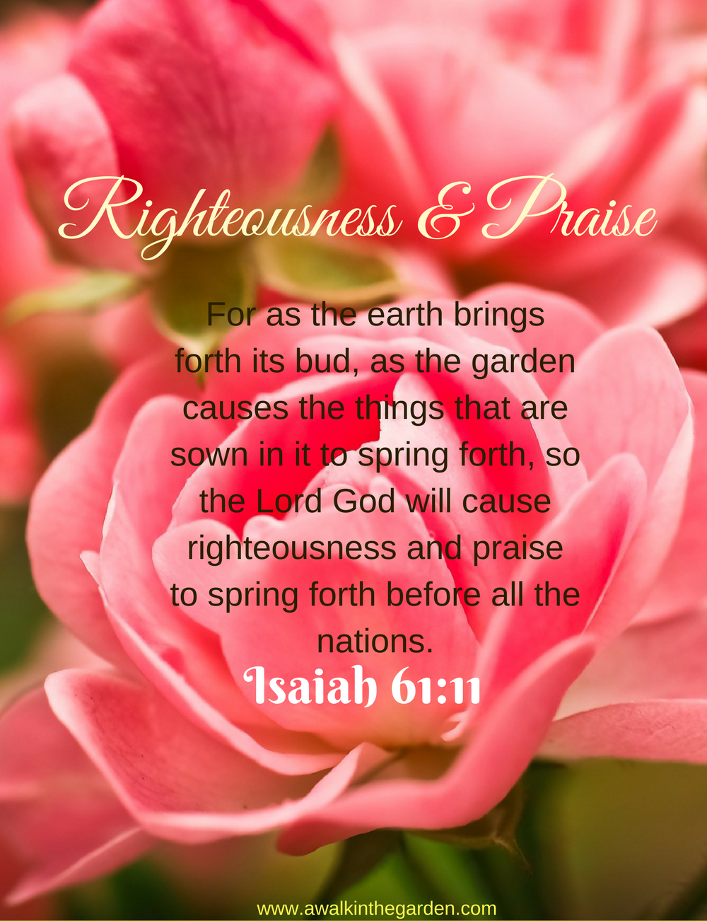 A Walk In The Garden: Righteousness and Praise