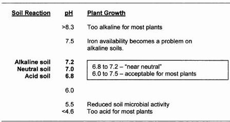 Bilal Mirza's World: How to Change Your Soil pH?