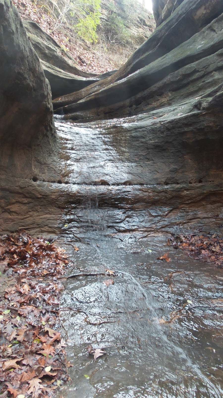Hike Starved Rock: St. Louis, Kickapoo, Sac and Aurora Canyons 12-01-16