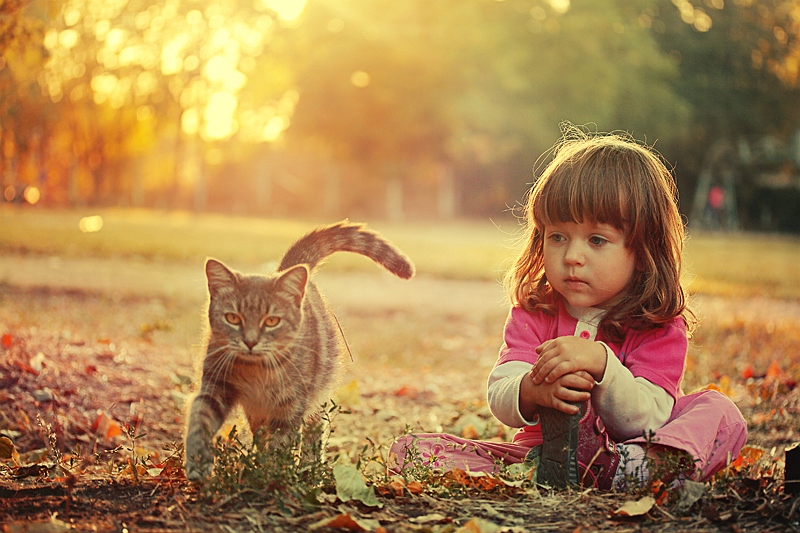 Beautiful World : Fresh Collection of Amazing and Funny Pics