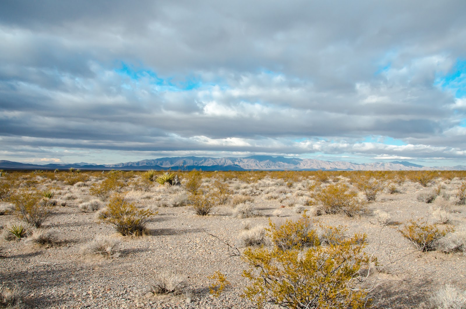 Southern Nevada Wildlands Face Industrial Transformation