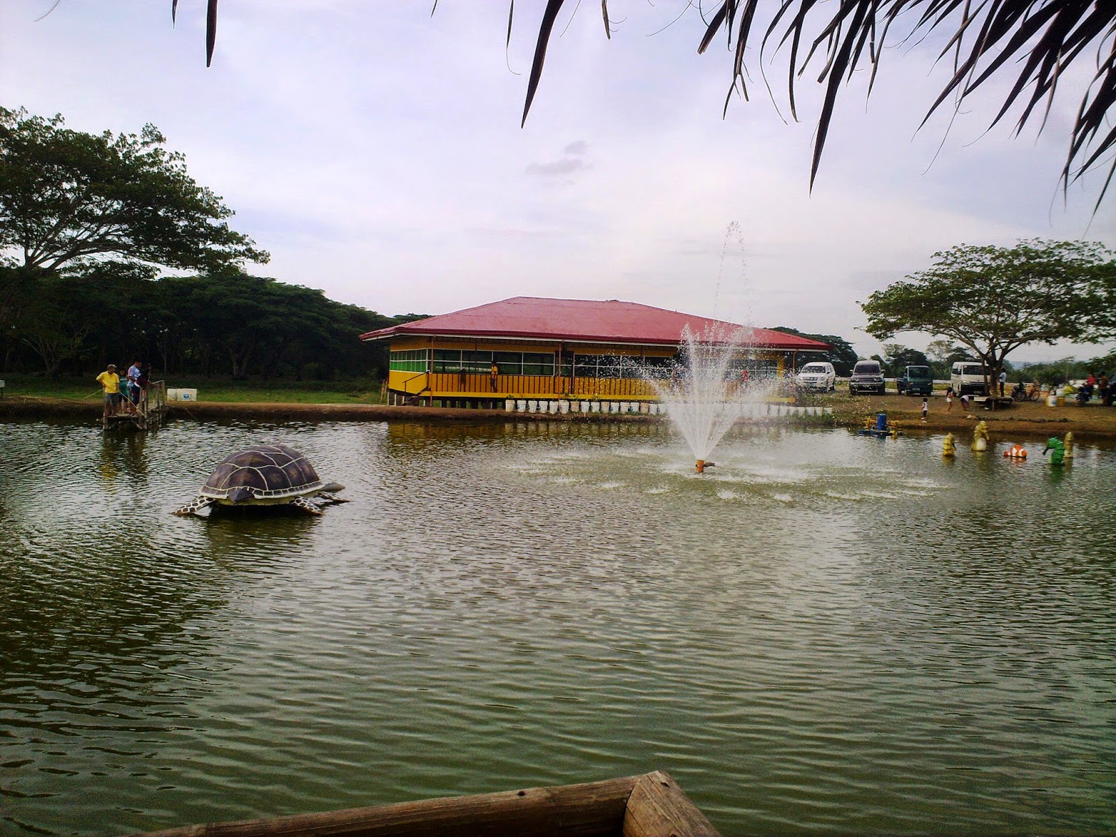 Travelling and Beyond: Balamban: Wild Wild West