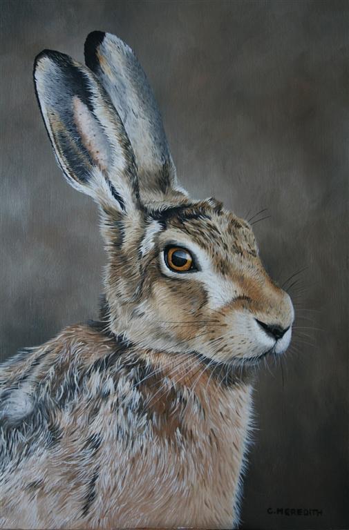 Clive Meredith Wildlife Art: Brown Hare study 13.25"x9" oil on board