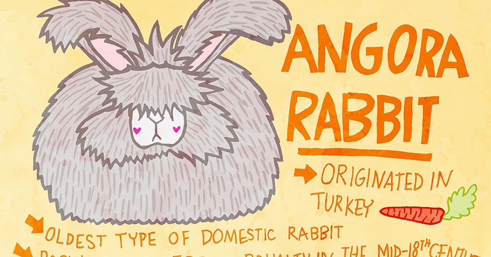 My Zoetrope: 010: Angora Rabbit