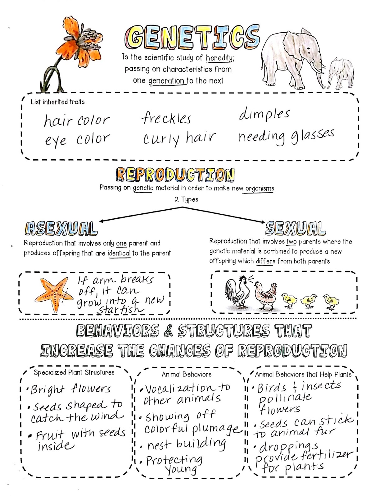 Genetics: Plant & Animal Reproduction Doodle Notes (NGSS MS-LS1-4 ...