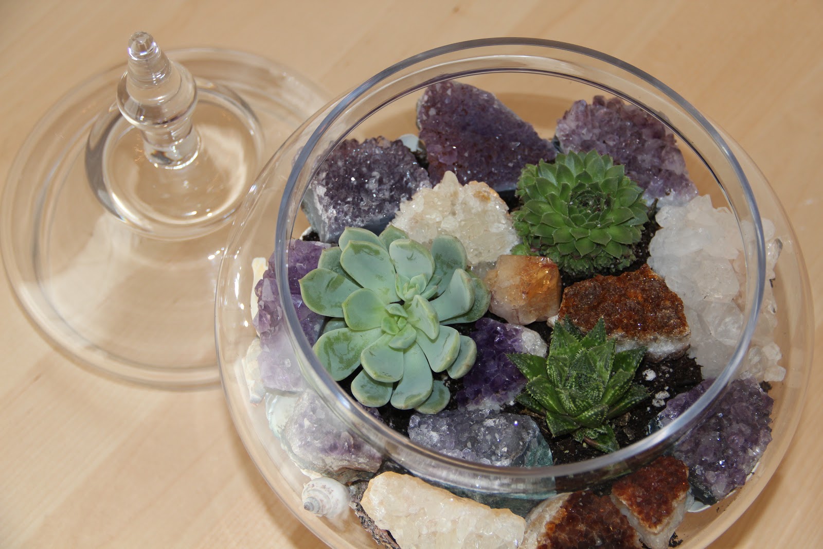 Satin And Salt: DIY: Crystal and Succulent Terrarium