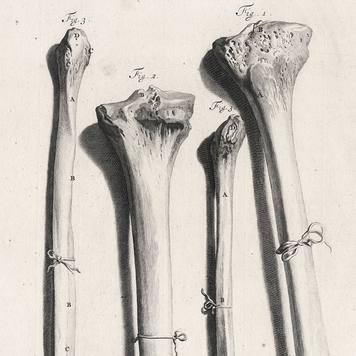 Prints and Principles: Abraham Blooteling’s engraving, “Table 104 ...