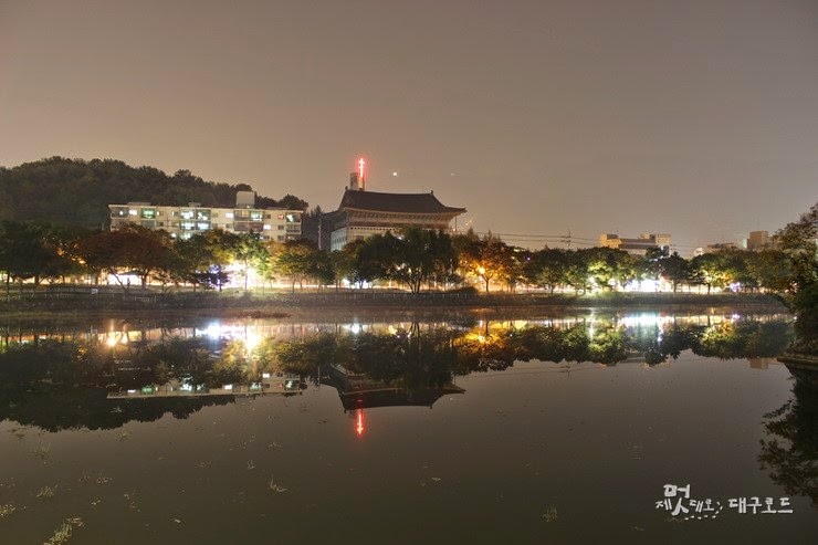 Daegu’s unique tourist spot! / Whole new level! Daegu’s beautiful pond ...