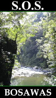 S.O.S. BOSAWAS: *RESERVA DE BOSAWÁS*