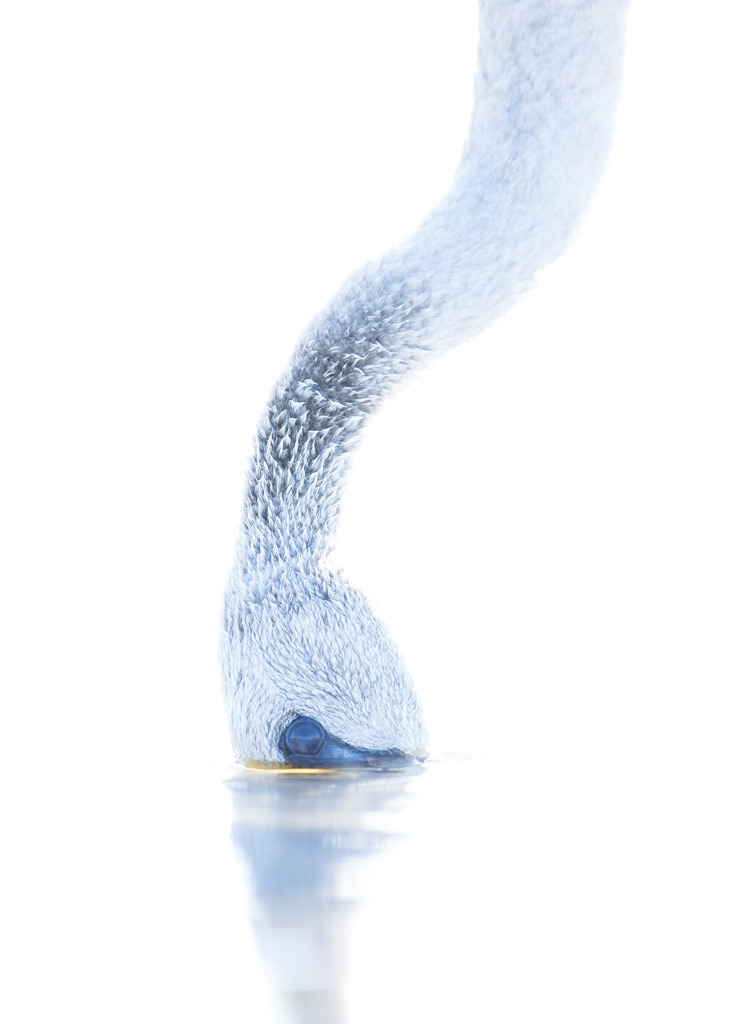 Nikos Fokas Photopraphy Blog