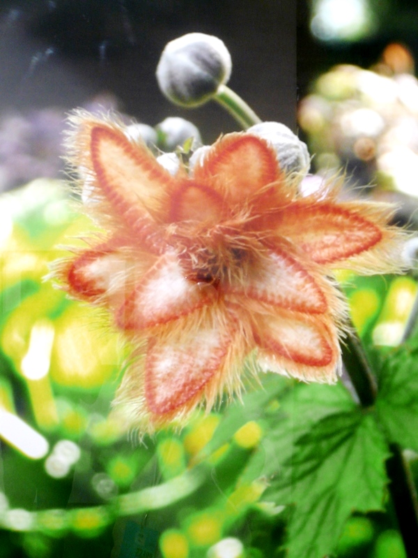 ArtisTalking: HEIDE HATRY @ STUX GALLERY