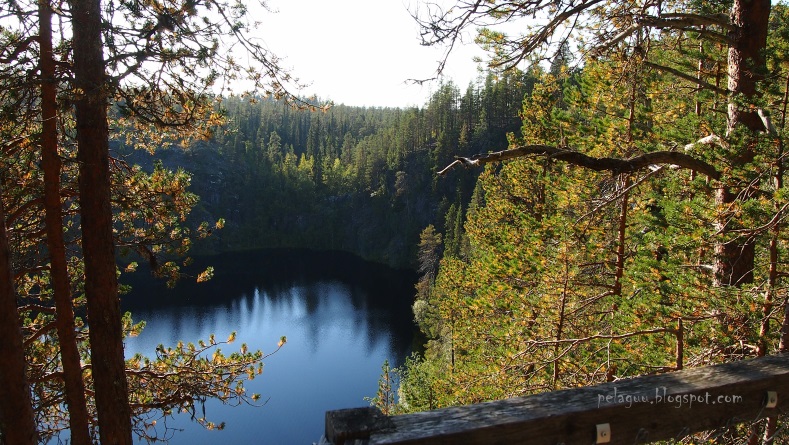 Hetki metsässä.: Pakasaivo ja Kirkkopahta