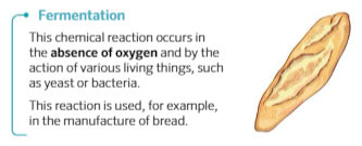 Science and Physical Education: Chemical Reactions: Combustion ...