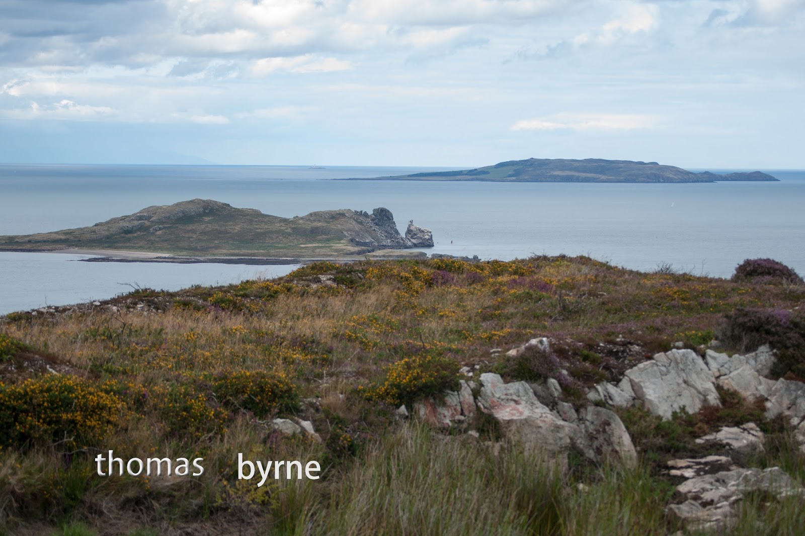 Irish Wildlife Trust - Dublin Branch: August 18th - Walk on Howth Head