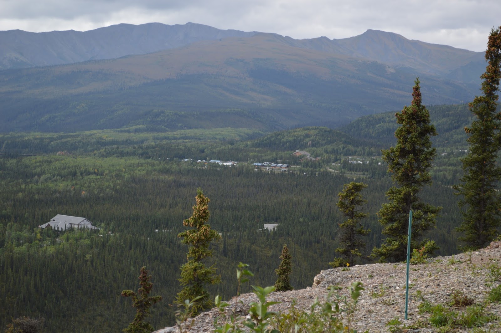 Treasured Traditions: #ProjectAlaska: Talkeetna to Nenana