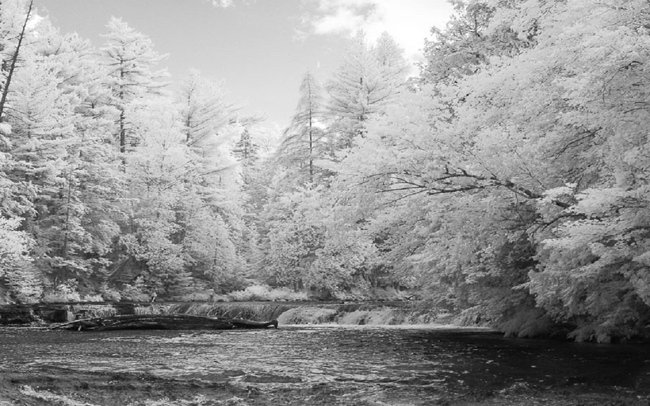 HD Infrared Photography - Desktop, laptop Wallpapers & Backgrounds ...