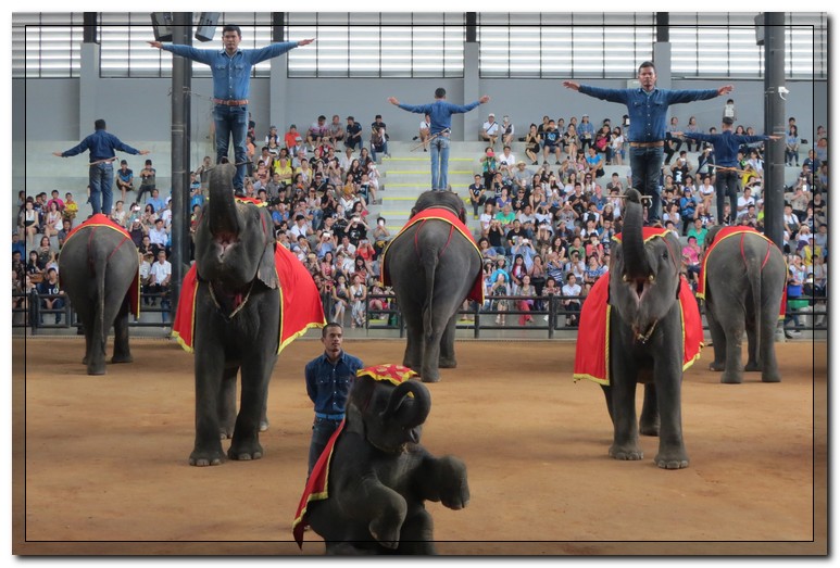 Suggestion for Secretariats' Logo | AEISA International Events Gallery