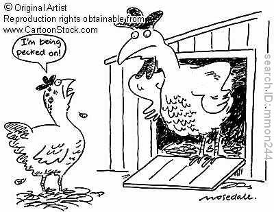 My Daily Jenn-ism: Pecking order.... It's not just for chickens...