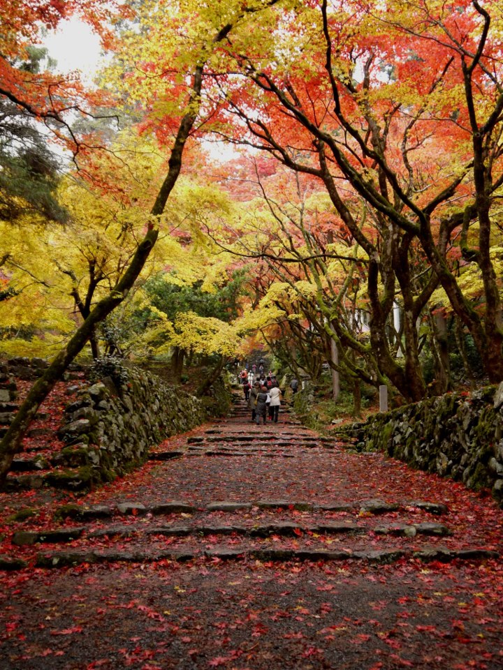 eastcoastlife: Colours of Fall in Japan - PhotoHunt
