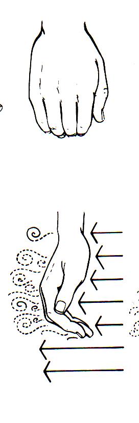 Swimming-Synergy ....: 11 / Legile mecanicii evocate la inot