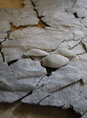 La Escalera de Iakob: El misterioso Godzillus