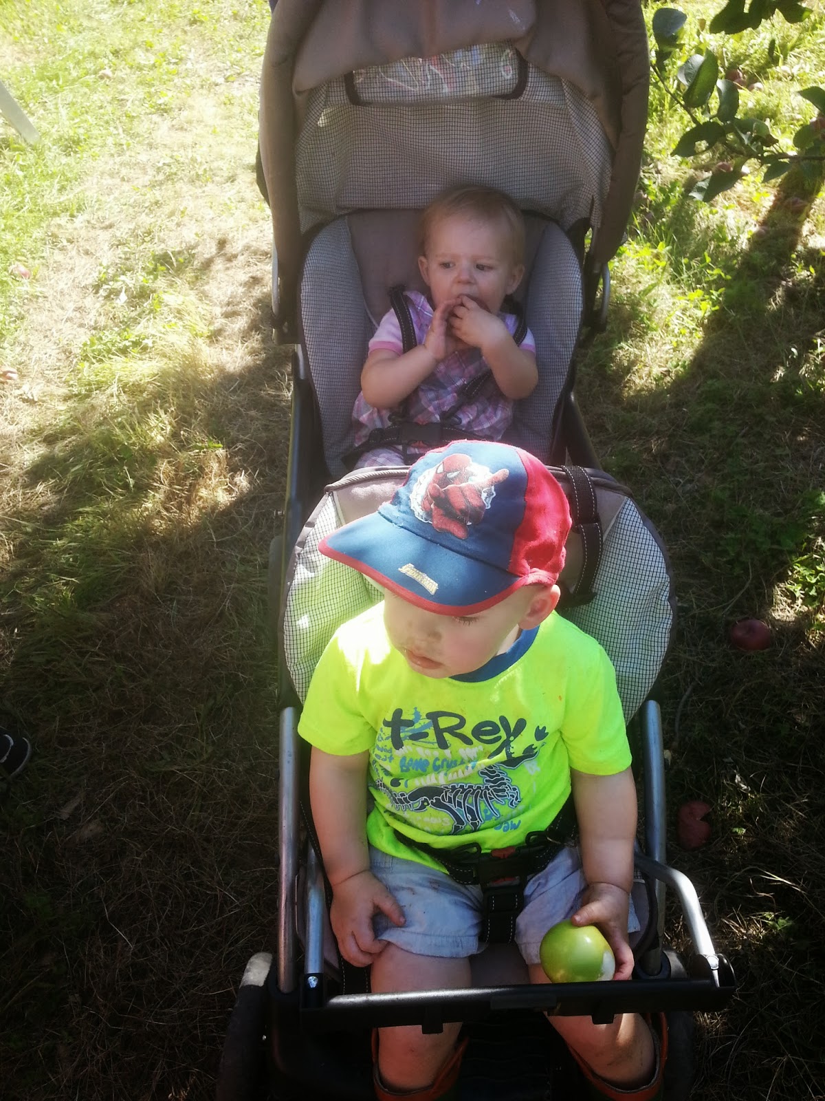 3 mommies: Apple Picking at Le Verger Labonte Orchard