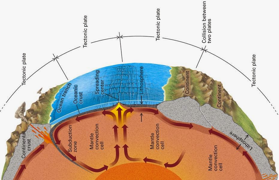 6th Grade Science: September 2014